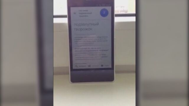 Quem e vc google порно видео — prostasex